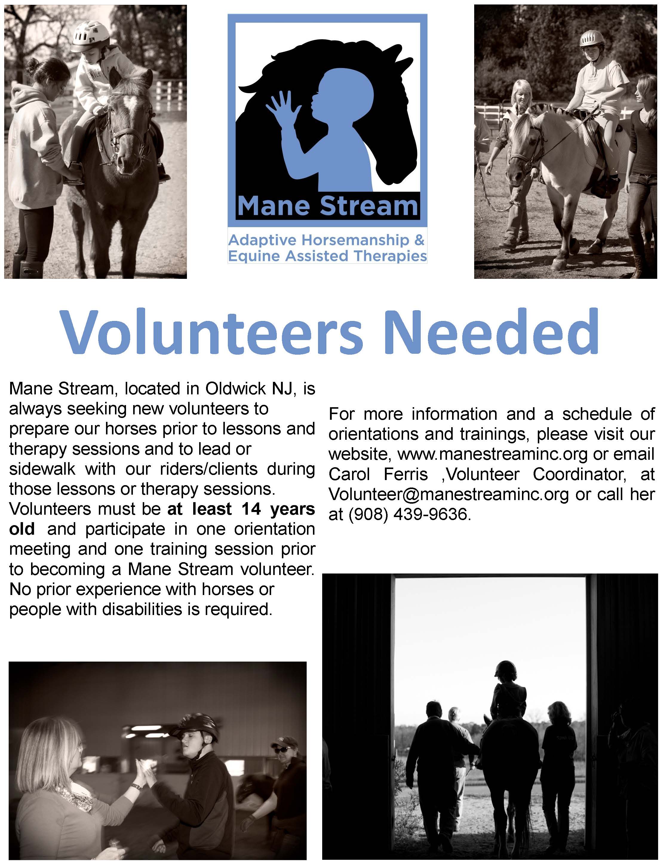 Mane Stream – flyer
