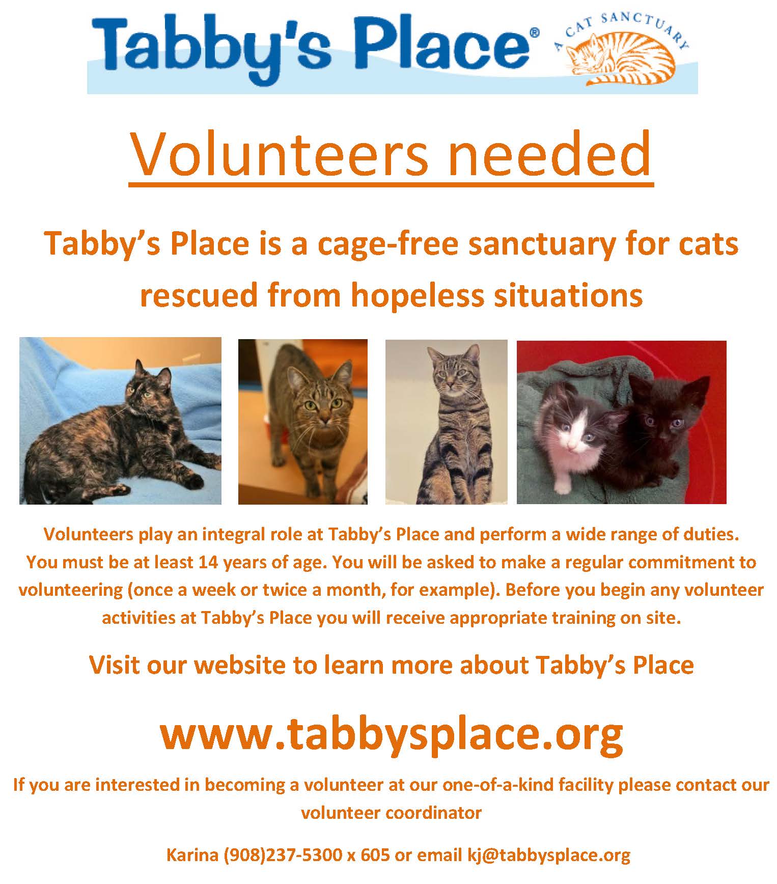 Tabby’s Place