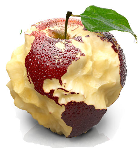 AP Student Resource Page | Mary Galal